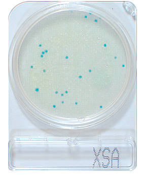 Microbiología Sanitaria